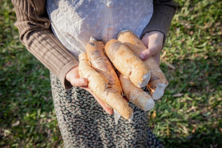 14 of The World's Deadliest Foods