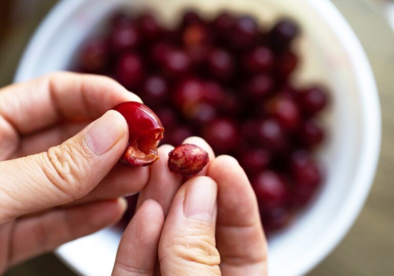 14 of The World's Deadliest Foods