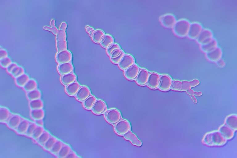 What Is Tinea Manuum? (Causes, Treatment, and More) : The Hearty Soul