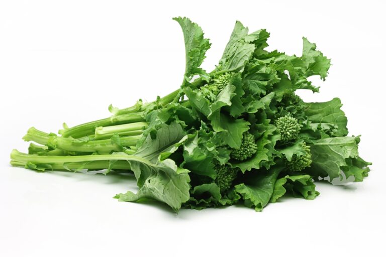 100 of The World’s Most Nutritious Foods : The Hearty Soul