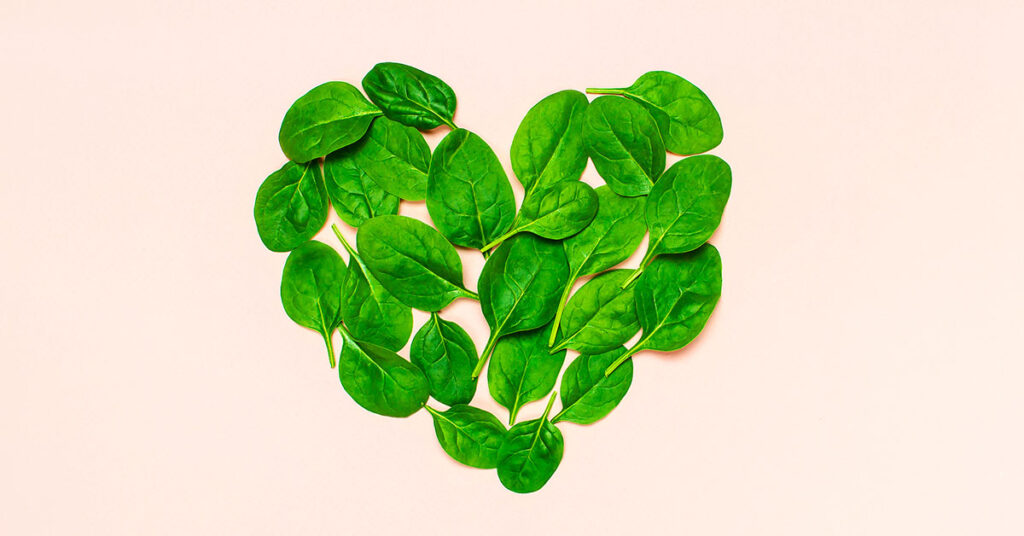 Researchers Grow Beating Human Heart Tissue Using Spinach Leaves : The ...