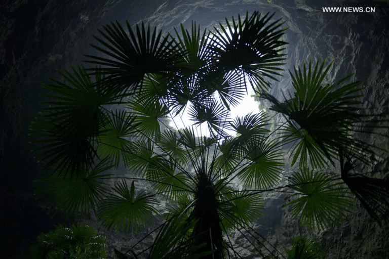 Explore China’s Giant ‘Sinkhole Forest’
