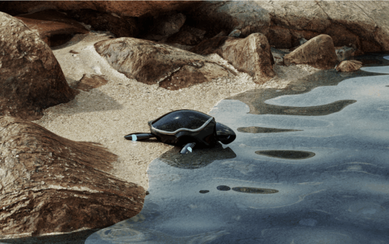 From Pools to the Ocean: Company Designs Robot Turtle for Aquatic ...