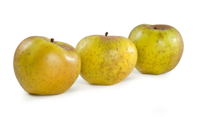 6 Of The Healthiest Apples You Can Eat