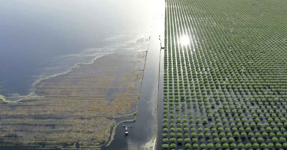 Tulare Lake Reappears After Vanishing 130 Years Ago