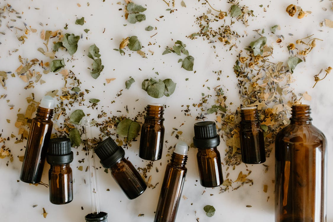 10 Leaves With Powerful Medicinal Value : The Hearty Soul