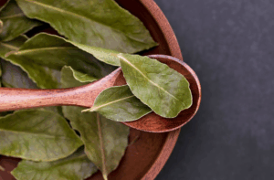 10 Leaves With Powerful Medicinal Value : The Hearty Soul