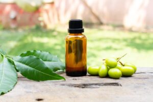 10 Leaves With Powerful Medicinal Value : The Hearty Soul