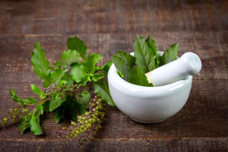 10 Leaves With Powerful Medicinal Value : The Hearty Soul