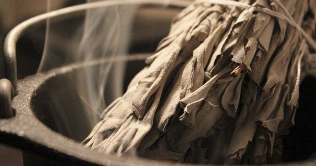 What Science Says About Smudging Sage and Air Purification