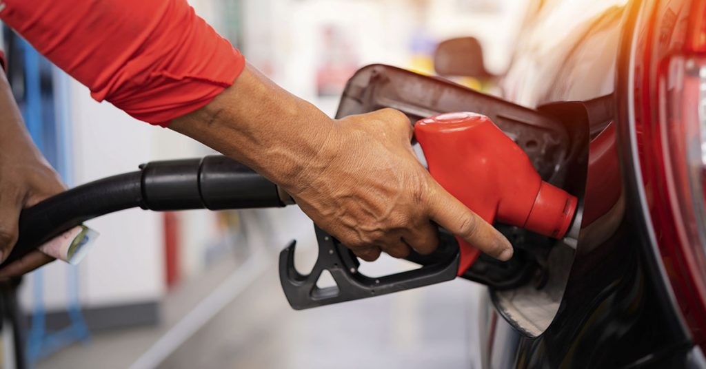 12 States Aim to Phase Out Gas Cars While Demand Persists : The Hearty Soul