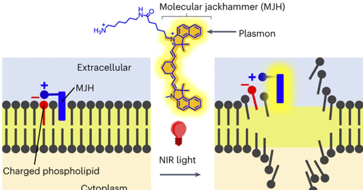 Near-Infrared Light and Vibrating Molecules Used to Kill 99% of Cancer ...
