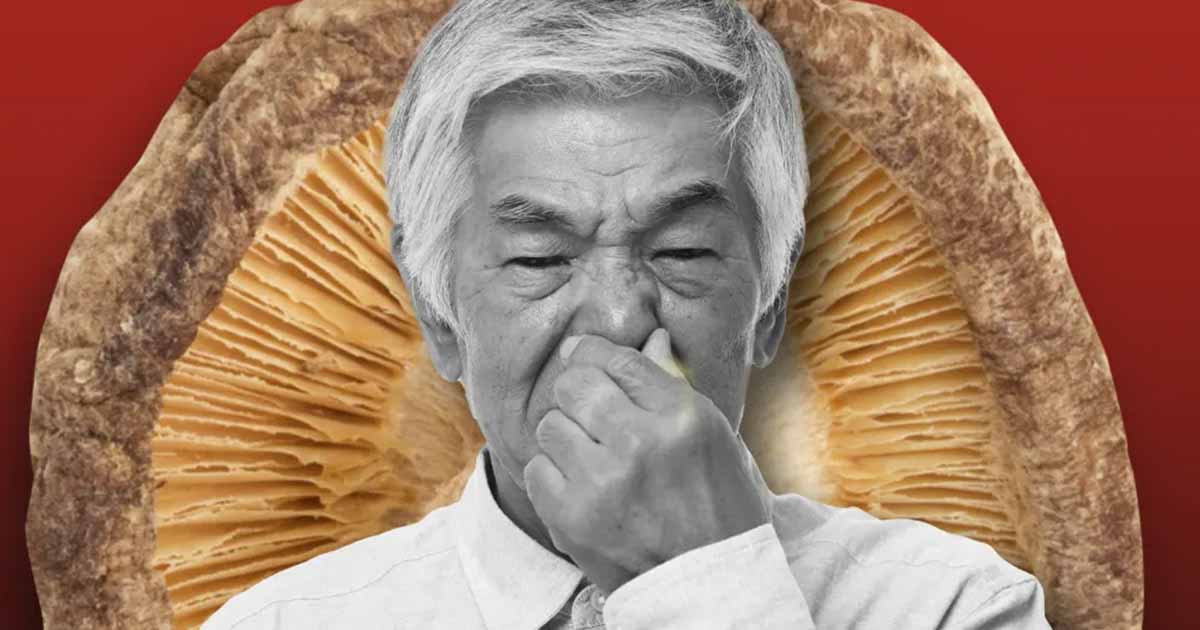 Why ‘Old People Smell’ Happens and How A Superfood May Help It