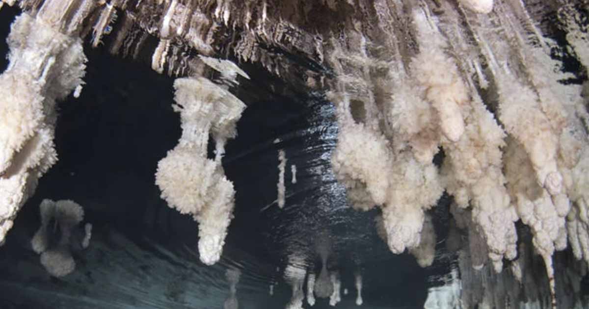 Underwater Discovery Reveals 6,000-Year-Old Bridge Linking Ancient Lands