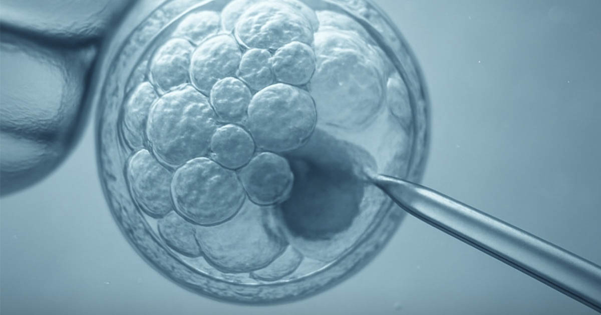 Three-Parent Babies Born Using DNA From Three Individuals Are Free of ...