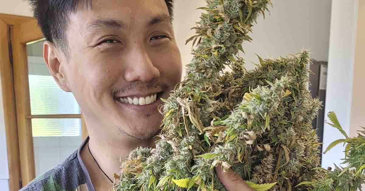 Thailand Plans to Ban Recreational Weed After Decriminalizing It