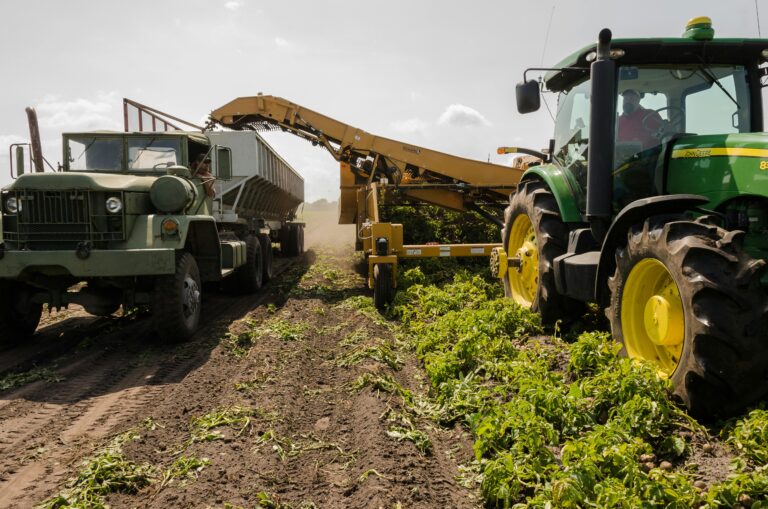 The 50 Most Food Self-Sufficient Countries Globally Ranked