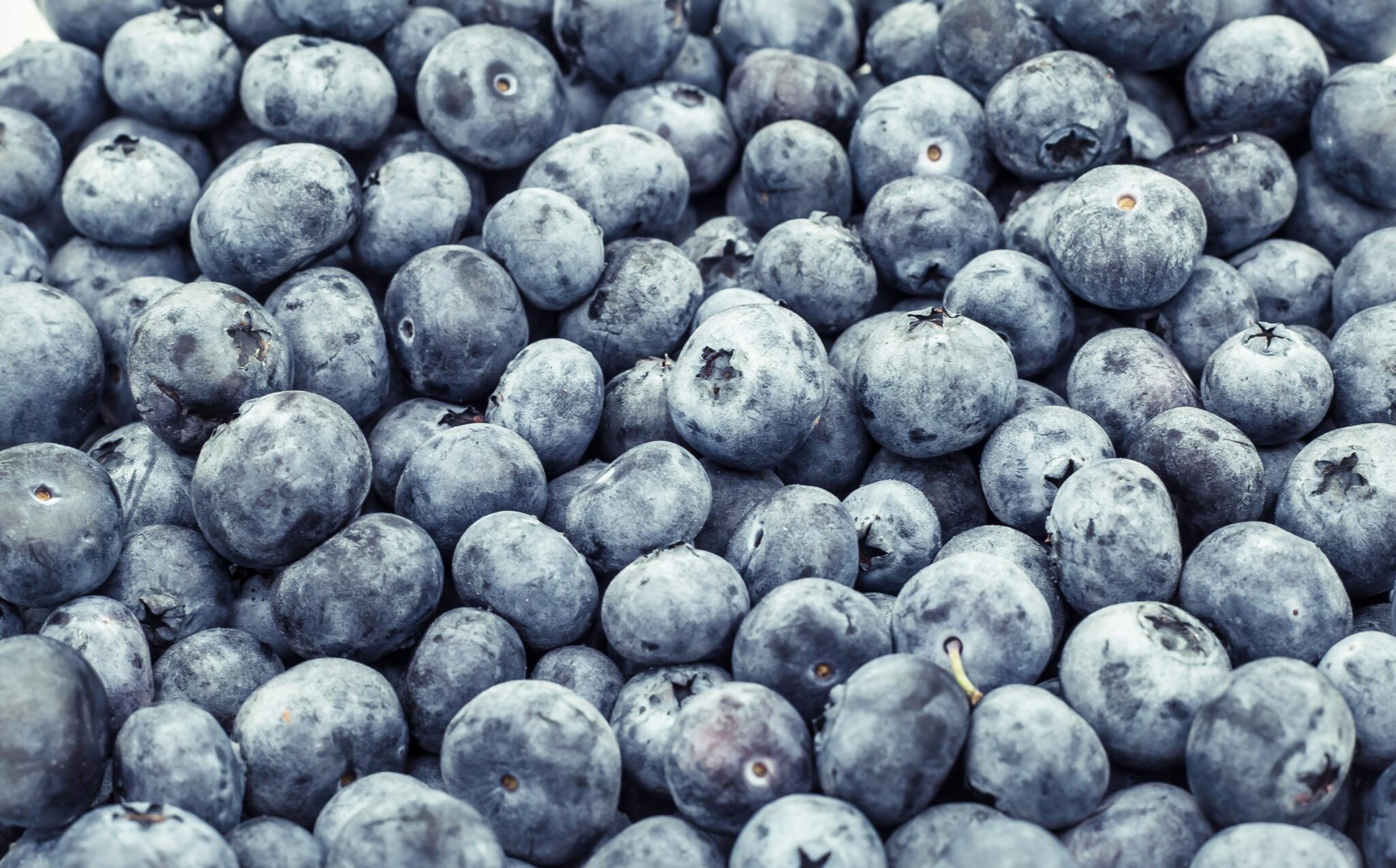 The Best Way to Wash Your Blueberries, According to Experts