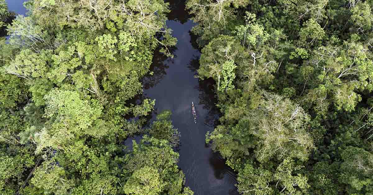 Isolated Amazon Tribe Spotted Near Village as Logging Encroaches ...