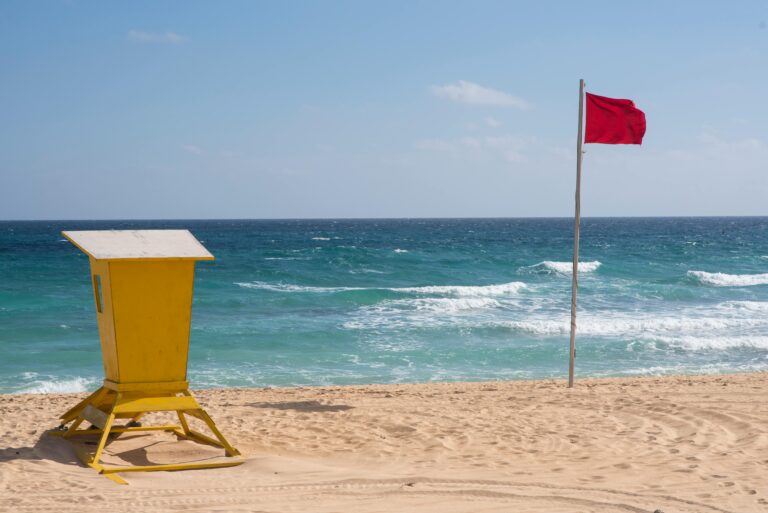What Do Beach Flag Colors Mean? A Quick Safety Guide