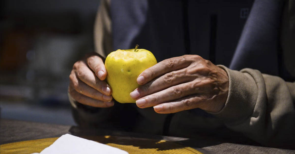 Scientists Find High-Fat Diet Could Help Maintain Brain Health