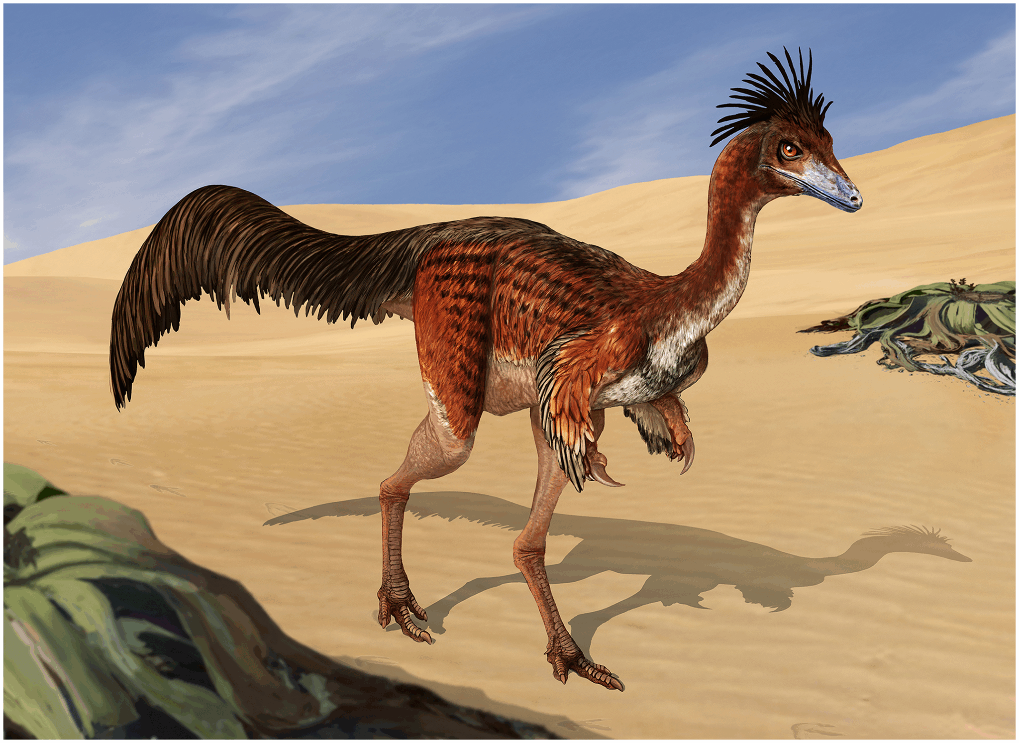 70-Million-Year-Old Dinosaur Egg Found Intact—May Contain Ancient DNA