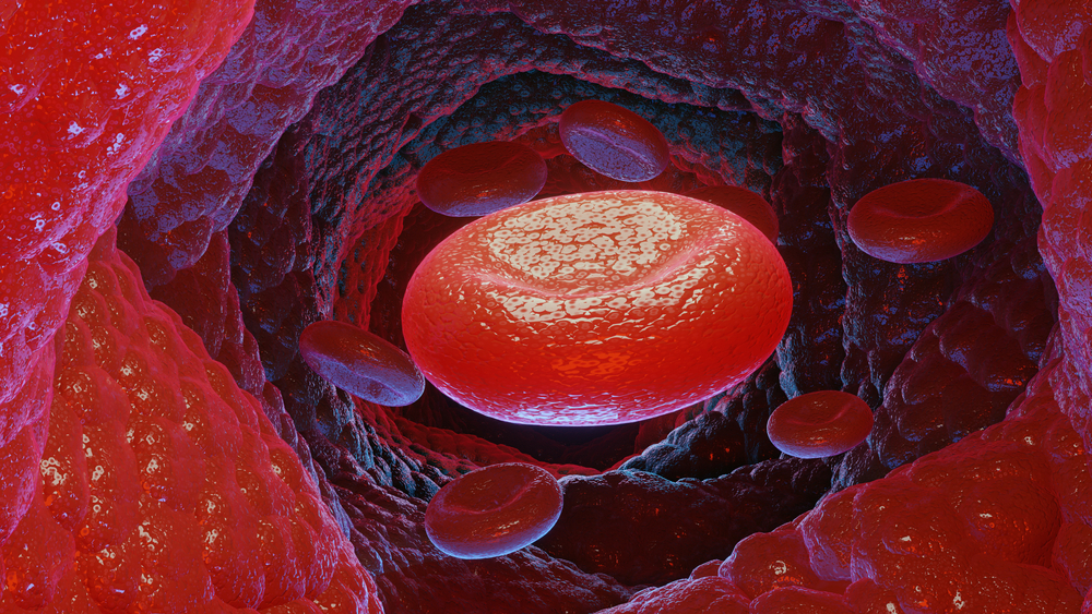 Golden Blood: Why the World’s Rarest Blood Type Is So Important