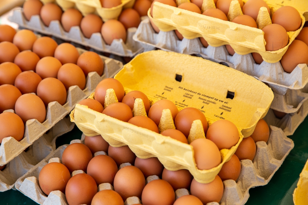 Should You Need to Wash Eggs Before Using Them?