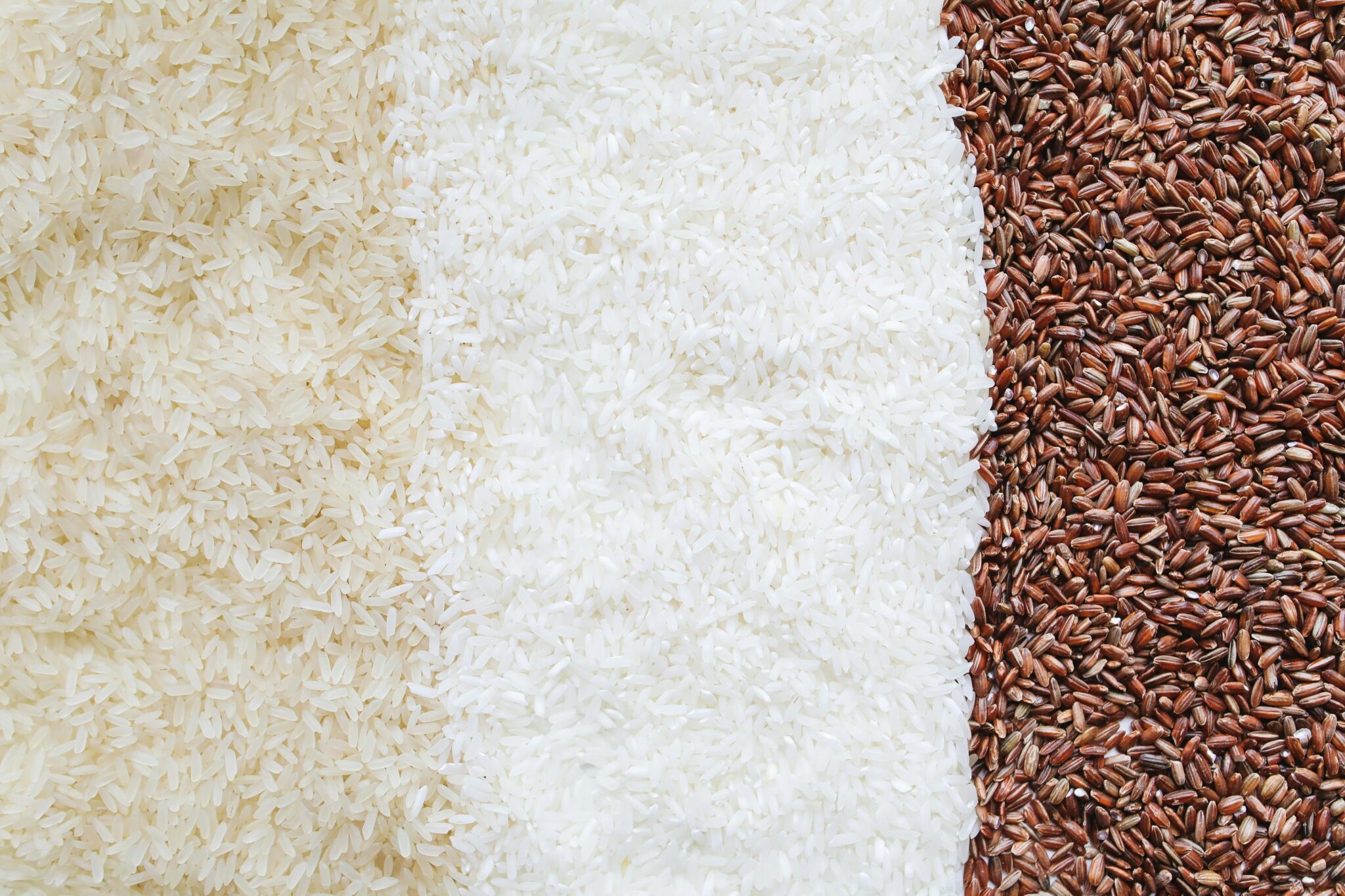 15+ Foods That Almost Never Expire and Why Expiration Dates Mislead