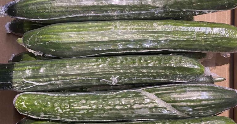 Why Are English Cucumbers Wrapped in Plastic?
